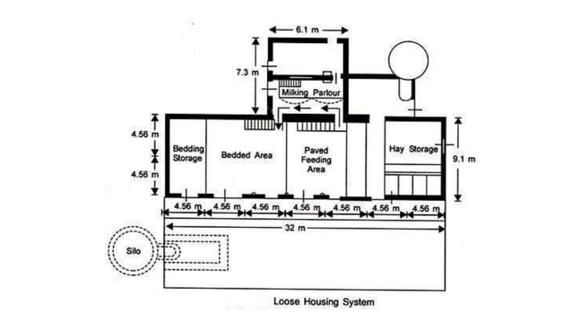 LPM-605-LAYOUTS_OF_LIVESTOCK_FARM animal give information.pptx ...