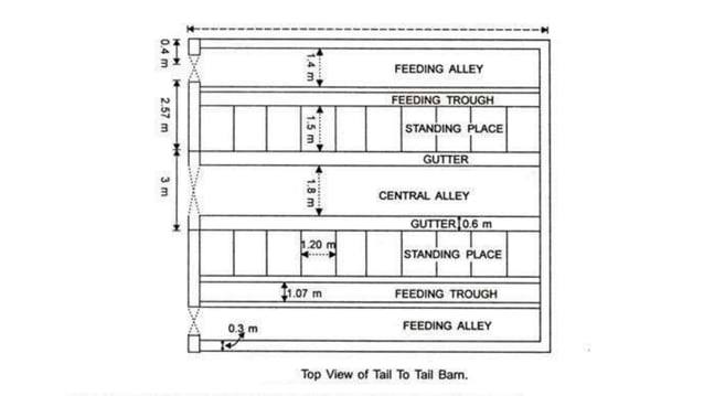 LPM-605-LAYOUTS_OF_LIVESTOCK_FARM animal give information.pptx ...