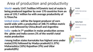 LPM maize🌽. How it can be grown and how it is crafted | PPT