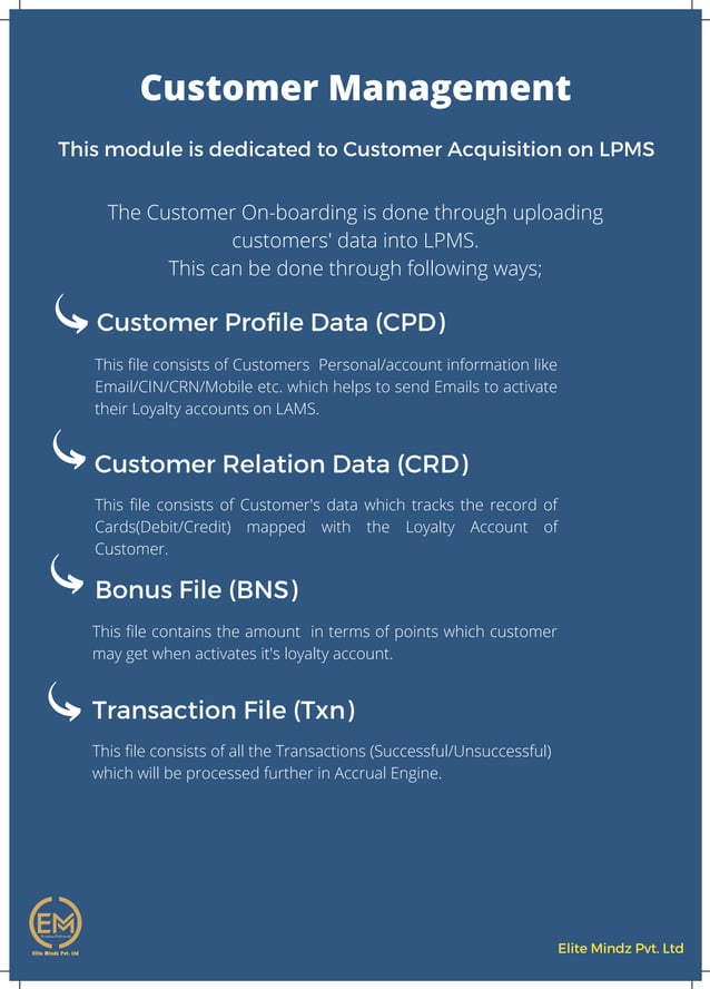 Loyalty Program Management System | PDF
