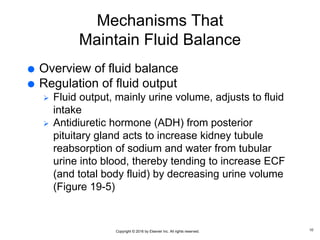 LPN_Fluid_and_Electrolyte_Balance.ppt | Endocrine and Metabolic ...