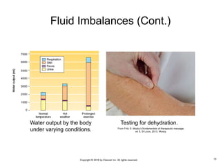 LPN_Fluid_and_Electrolyte_Balance.ppt | Endocrine and Metabolic ...