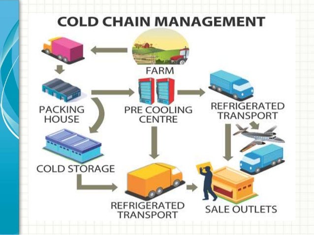 cold storage business in india
