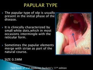 Papular Lichen Planus