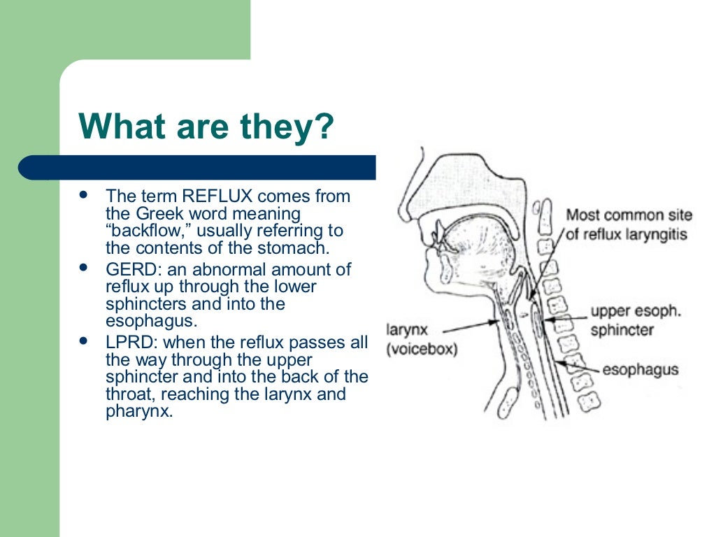 Laryngopharyngeal Reflux