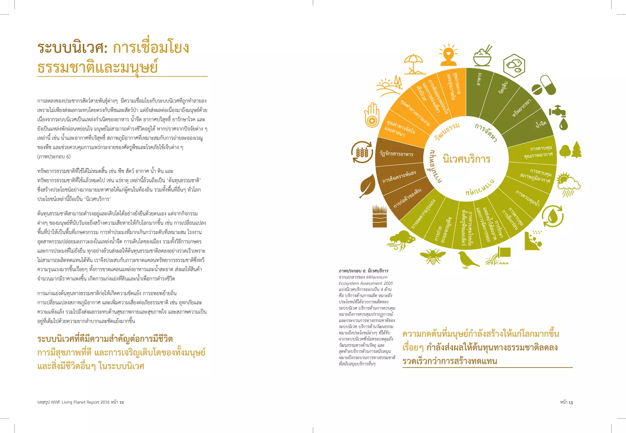 Lpr 2016 summary_th | PDF