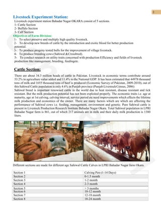 Livestock Production Research Institute Okara, Pakistan |Internship ...