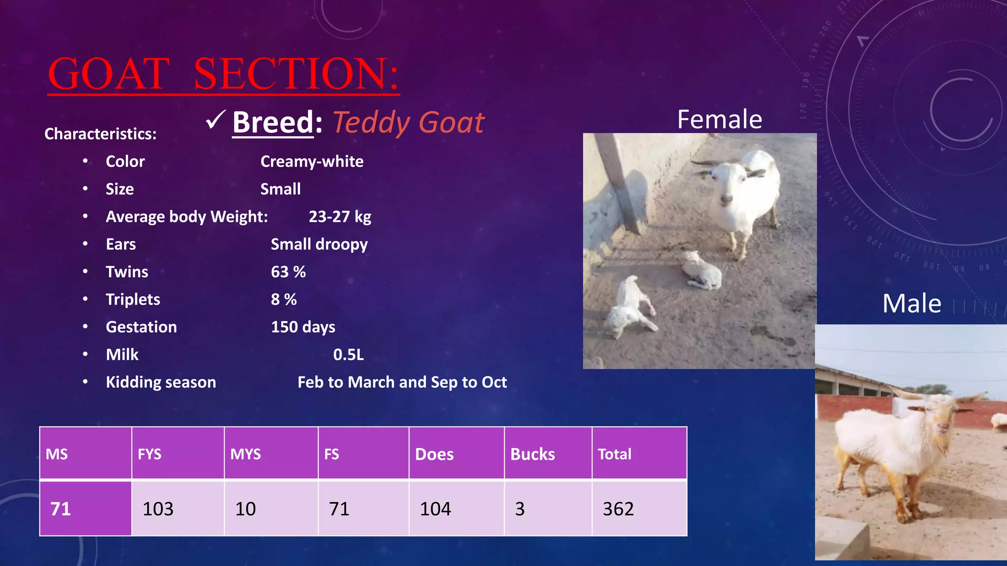 LPRI Presentation.pptx