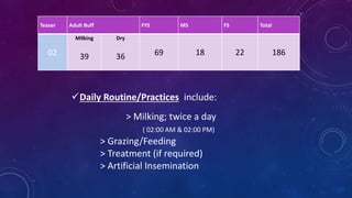 LPRI Presentation.pptx