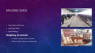 LPRI Presentation.pptx