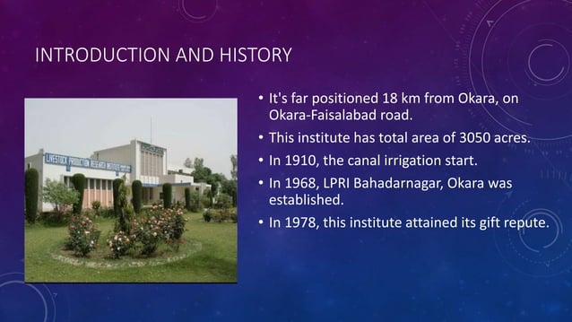 LPRI Presentation.pptx