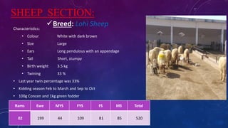 LPRI Presentation.pptx