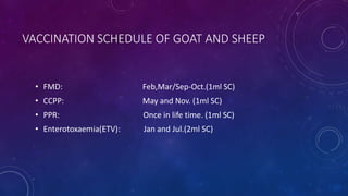 LPRI Presentation.pptx