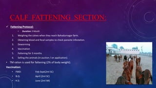 LPRI Presentation.pptx