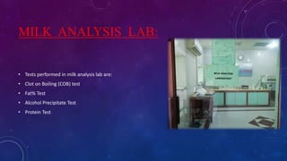 LPRI Presentation.pptx