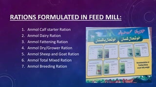 LPRI Presentation.pptx