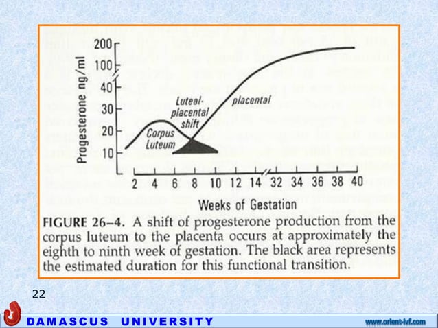 Luteal Phase Support | PDF