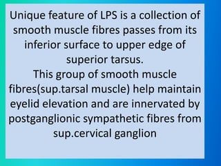 Lps and orbicularis oculi | PPTX