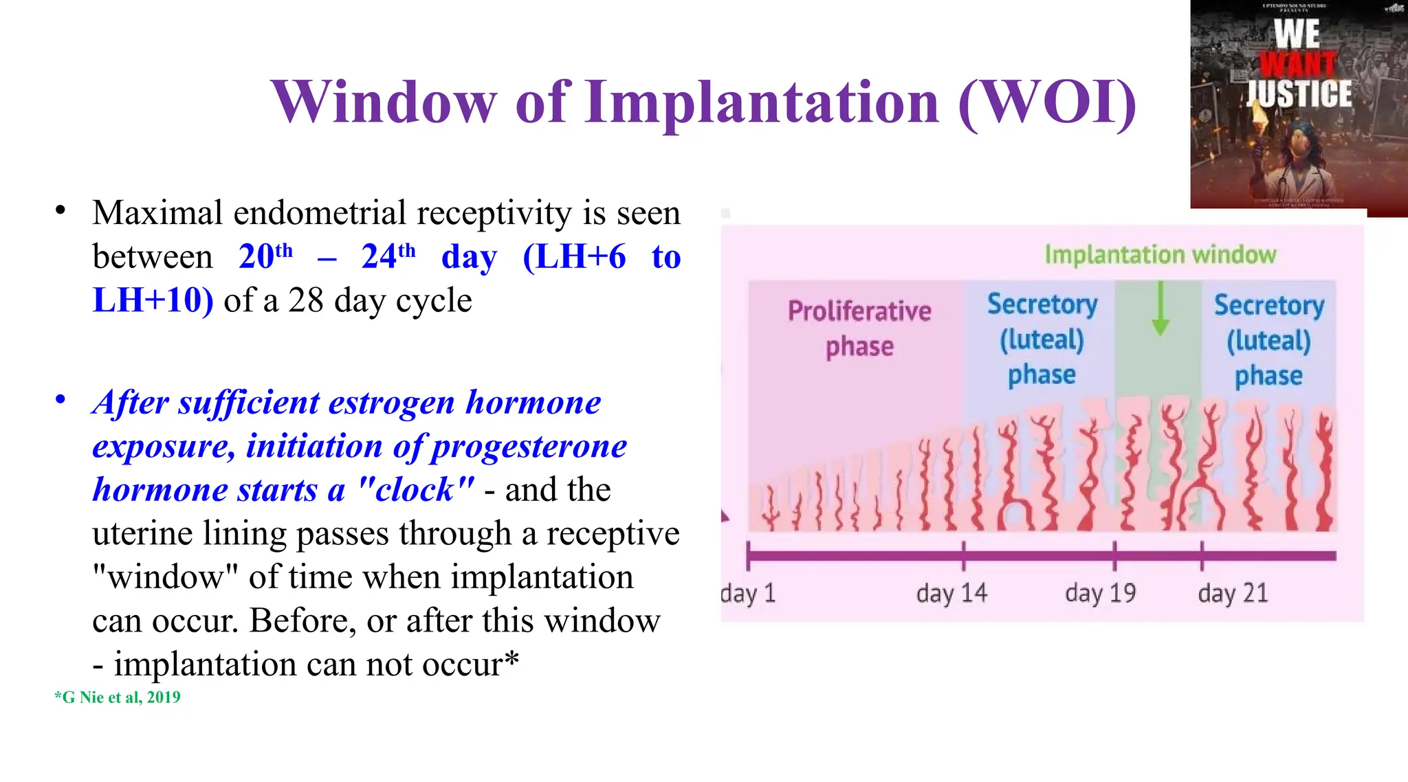 "Luteal Phase Support" | PPTX