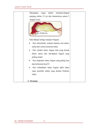 Lpt.genitalia interna wanita | DOC