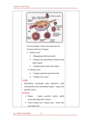 Lpt.genitalia interna wanita | DOC