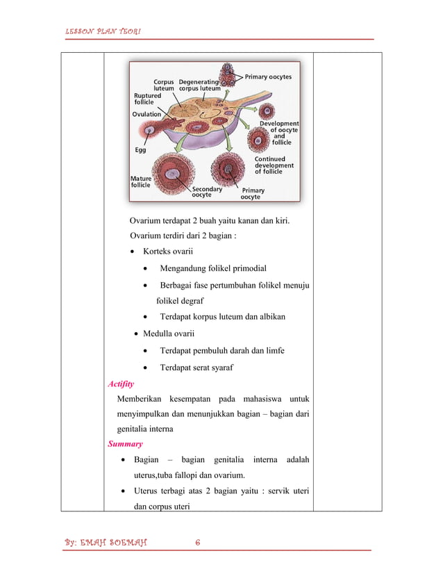 Lpt.genitalia interna wanita | PDF