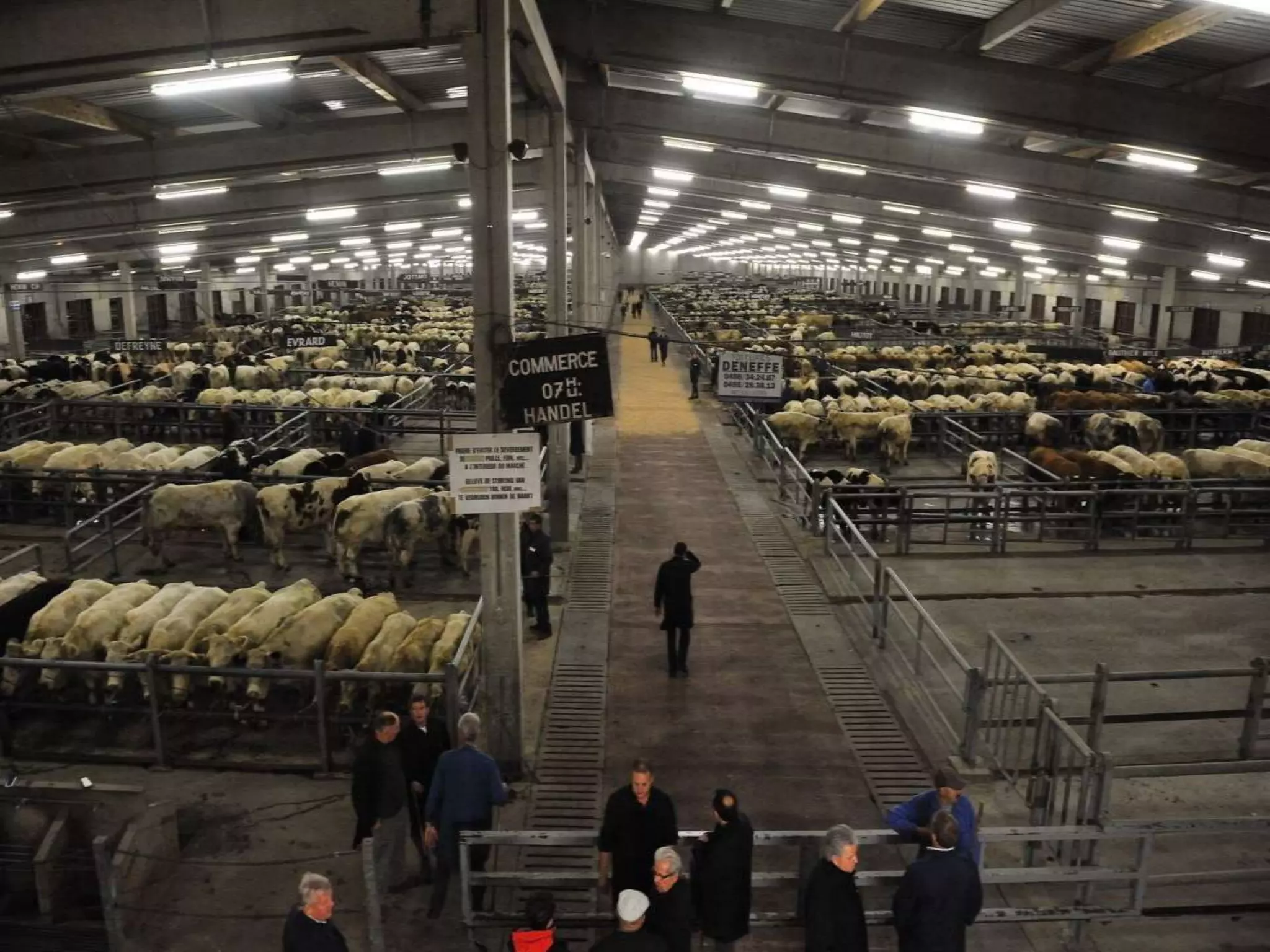 LAYOUT,DESIGN ,OPERATIONS ,EQUIPMENTS and maintenance in SLAUGHTER ...