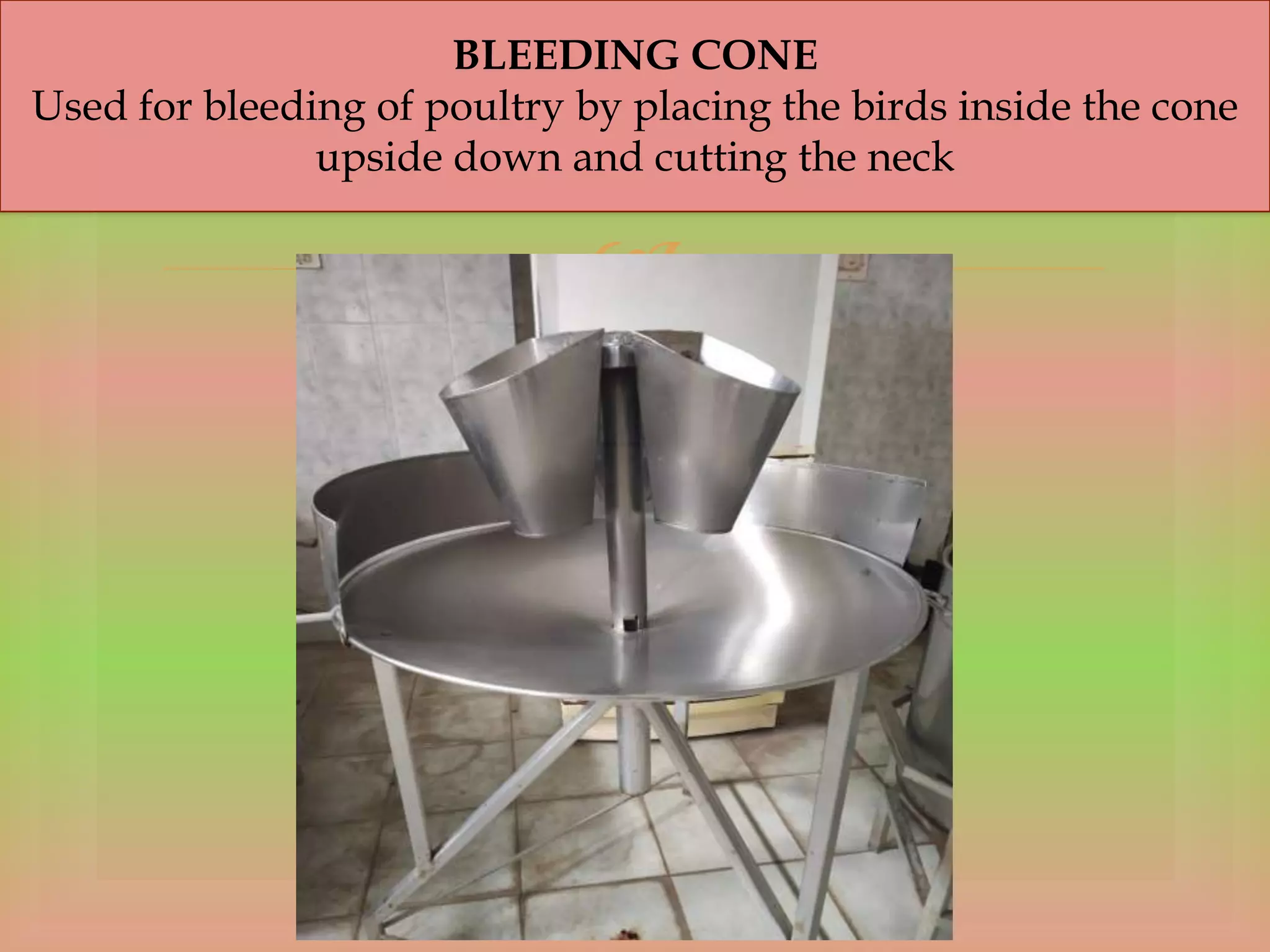 LAYOUT,DESIGN ,OPERATIONS ,EQUIPMENTS and maintenance in SLAUGHTER ...