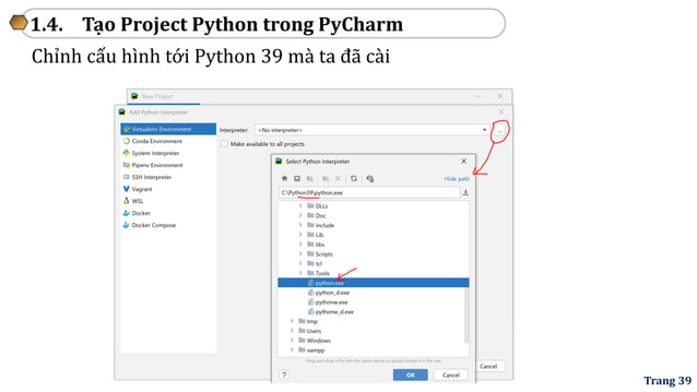 Ky thuat Lap trinh voi Python - Tran Duy Thanh | PDF