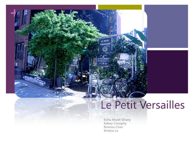 Lpv presentation | PPT