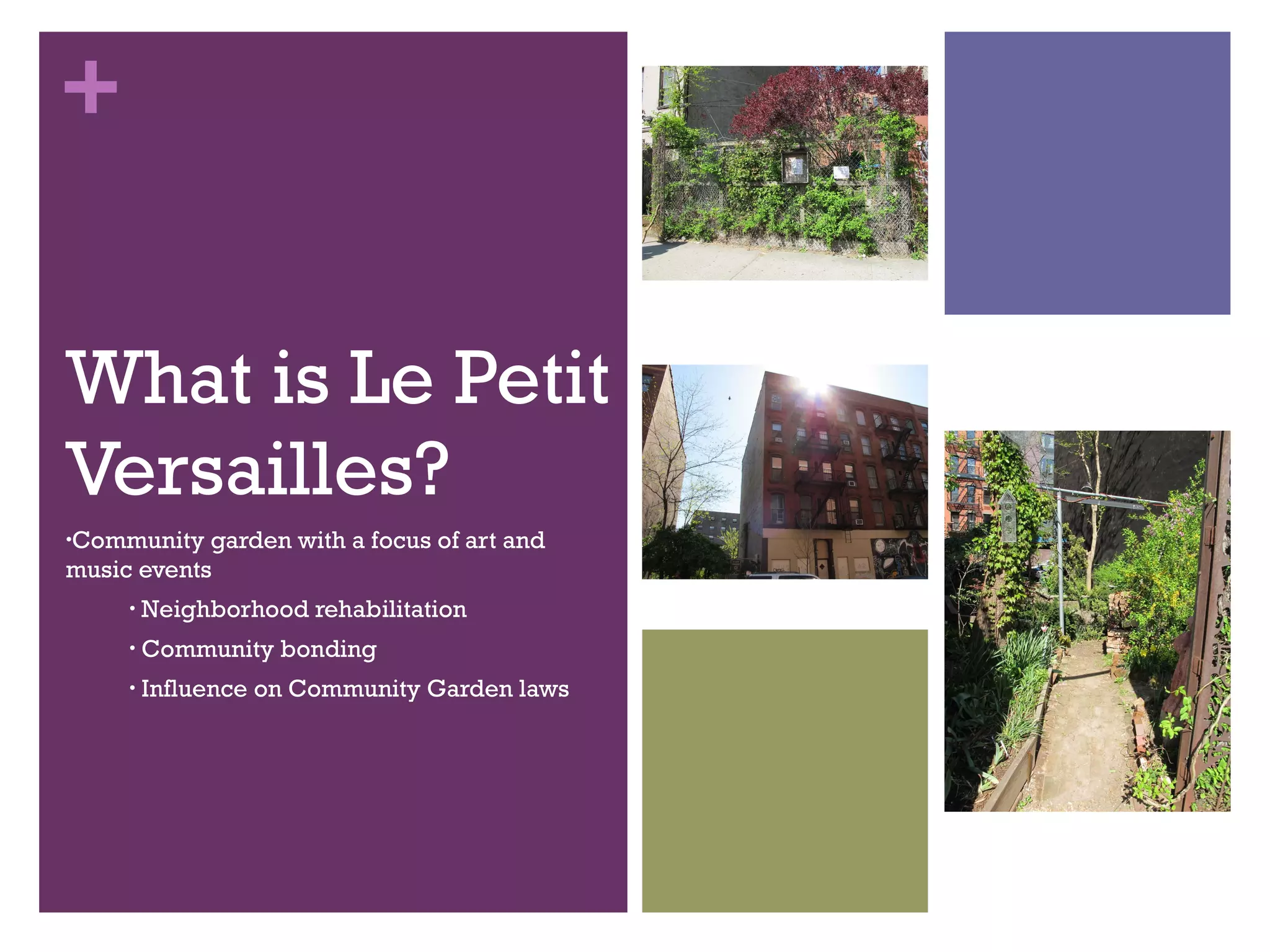 Lpv presentation | PPT