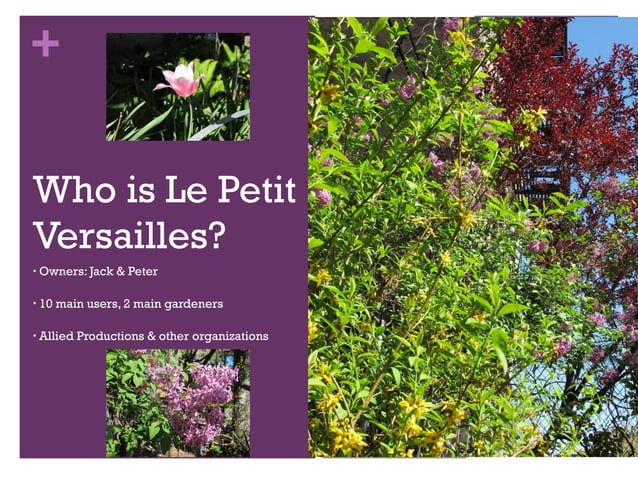 Lpv presentation | PPT