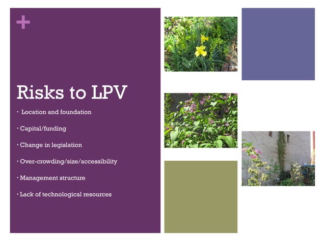 Lpv presentation | PPT