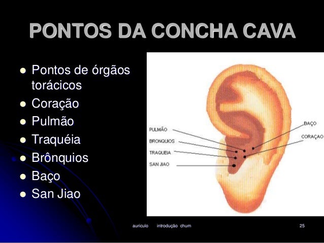Curso de auriculo introduo