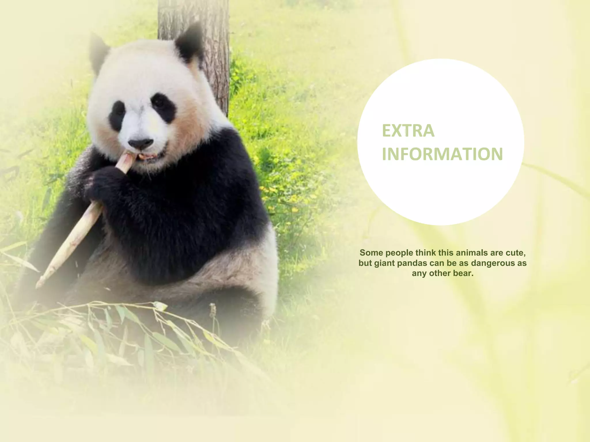 Pandas.pptx | Parenting Babies and Toddlers | Parenting