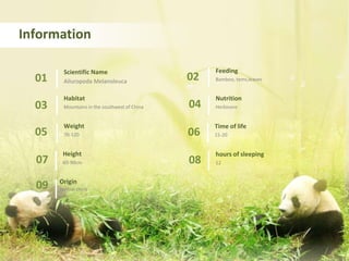 Pandas.pptx | Parenting Babies and Toddlers | Parenting