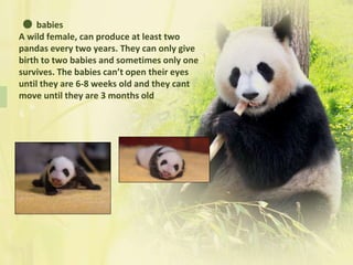 Pandas.pptx | Parenting Babies and Toddlers | Parenting