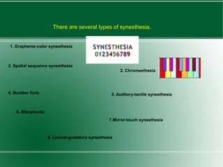 Synesthesia | PPT