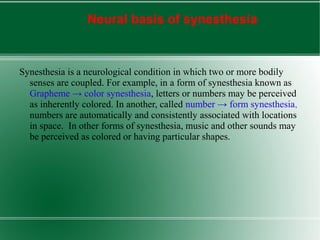 Synesthesia | PPT