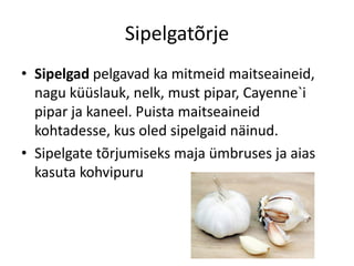 Sipelgad majas ja aias | PDF