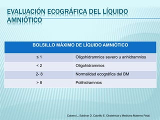 Líquido amniótico y sus variaciones. Luisauri 2016.pptx