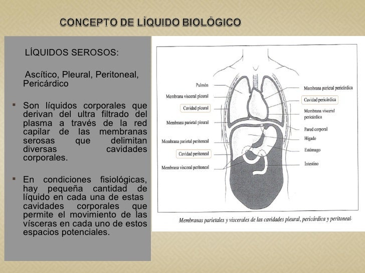 Líquidos biológicos
