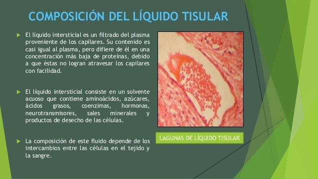 Líquido tisular