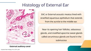External Cholesteatoma in the ear literature reading | PPTX
