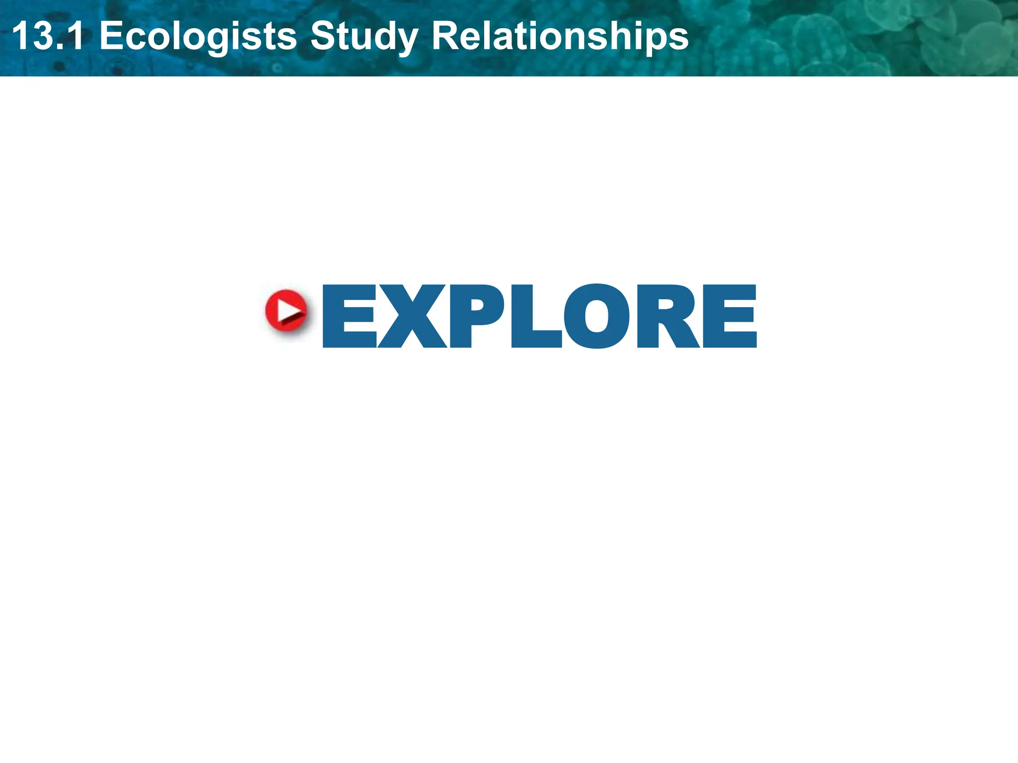 LR-PPT-circulatory-system.ppt | Heart and Cardiovascular Diseases | Diseases and Conditions
