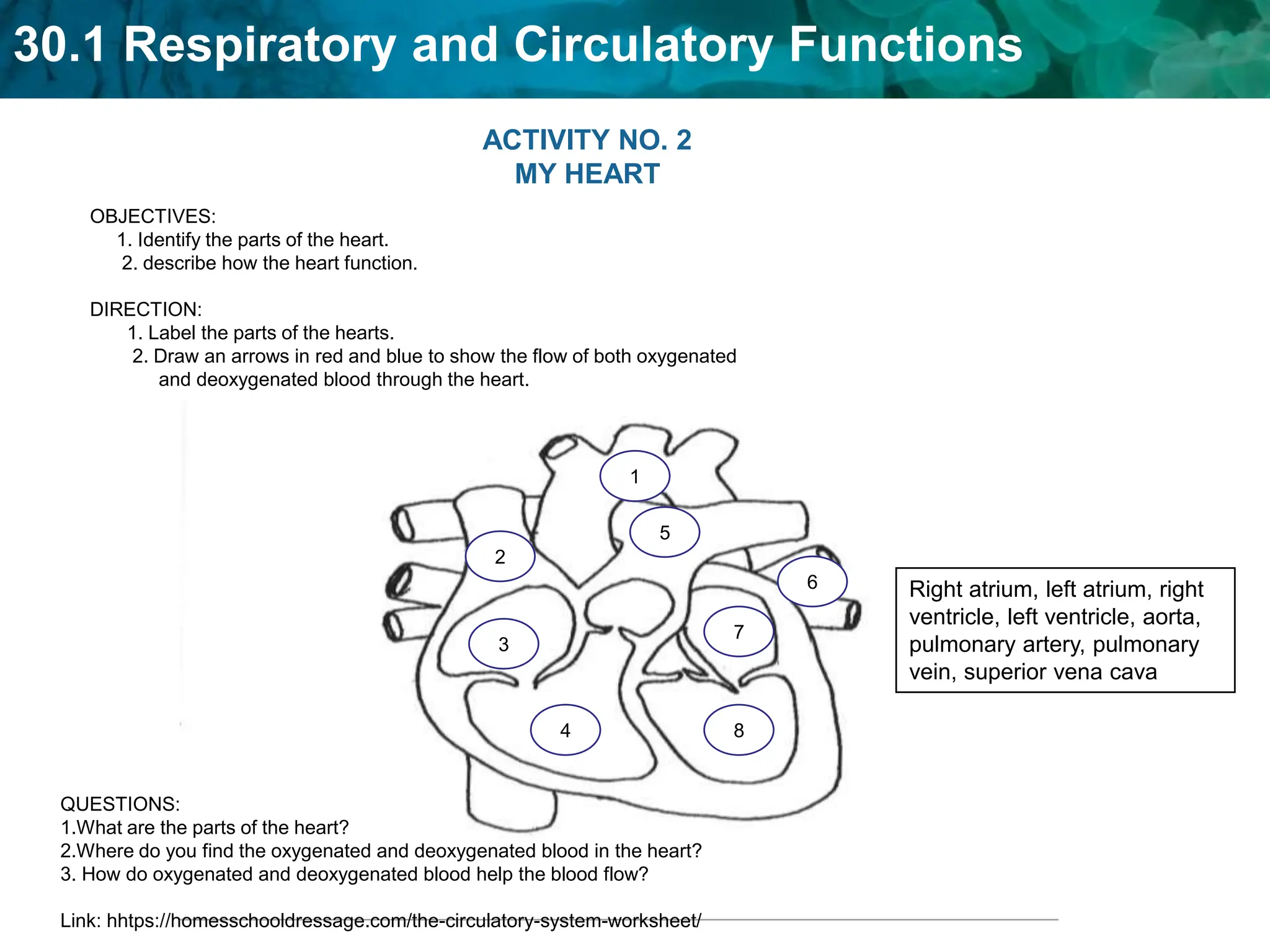 LR-PPT-circulatory-system.ppt | Heart and Cardiovascular Diseases ...