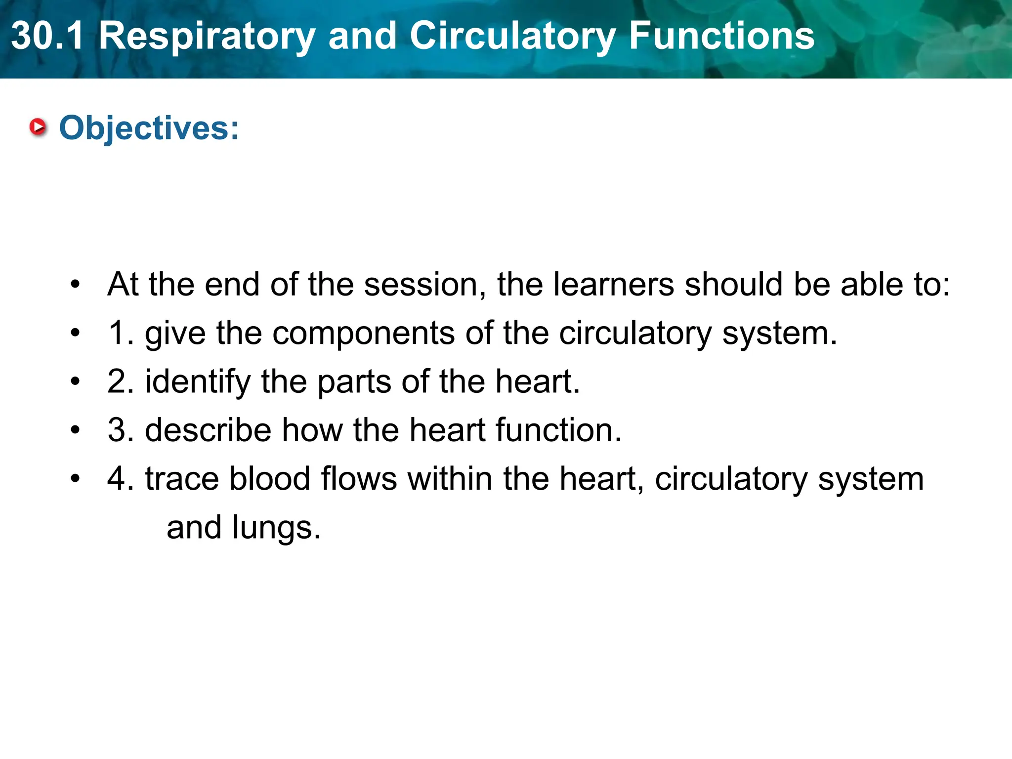 LR-PPT-circulatory-system.ppt | Heart and Cardiovascular Diseases ...