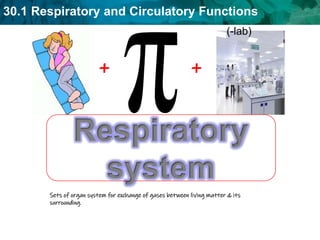 LR-PPT-circulatory-system.ppt