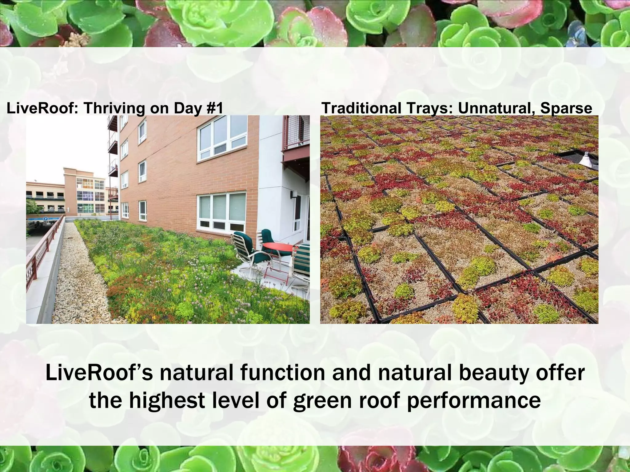 LiveRoof® Hybrid Green Roofs | PPT