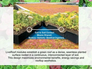 LiveRoof® Hybrid Green Roofs | PPT